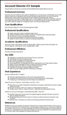 Account Director CV Sample MyPerfectCV