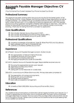 Get Curriculum Vitae Sample Of An Accountant