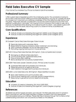 Salesman Responsibilities Resume Salesperson Job Description