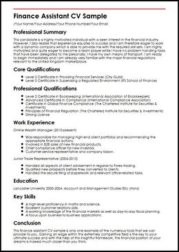 Finance Resume Sample Businesser