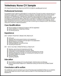 How To Write A Nursing Cv Uk Build Your Nurse CV Step By Step Guide