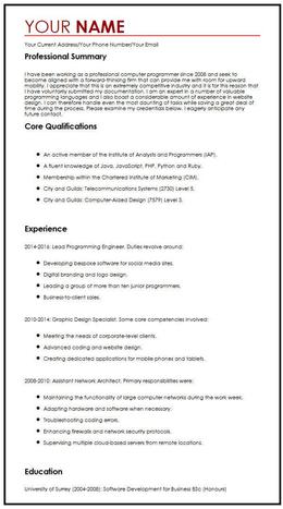 Sample Of A Cv For A Job Professional Cv Samples Resume Format 