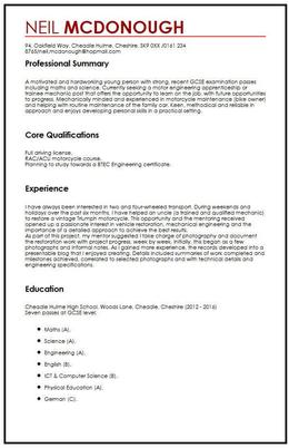 CV Example For High School Students MyPerfectCV