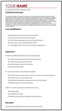 Professional CV Template MyPerfectCV